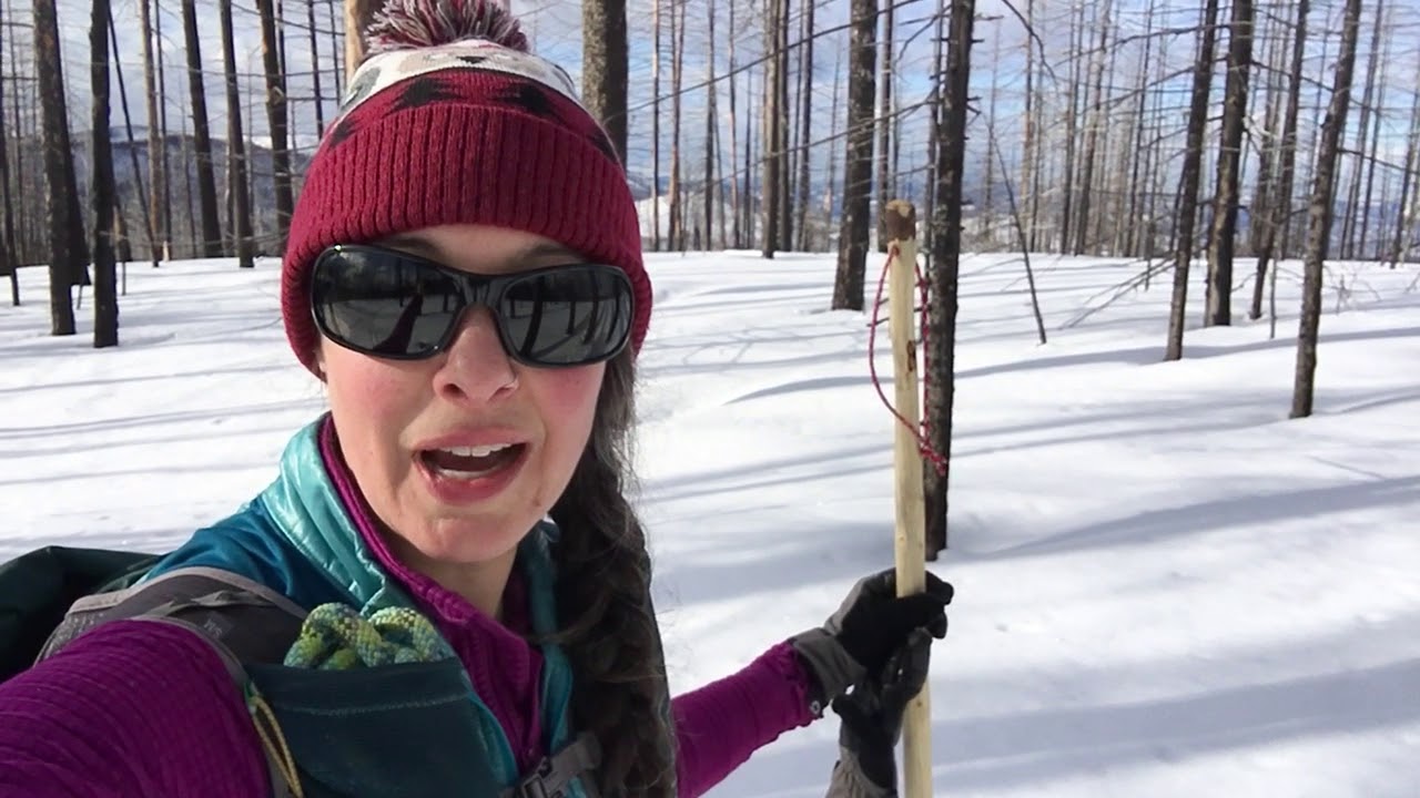 Hok skiing at the 2020 Altai Skis Backcountry Festival outside Curlew ...