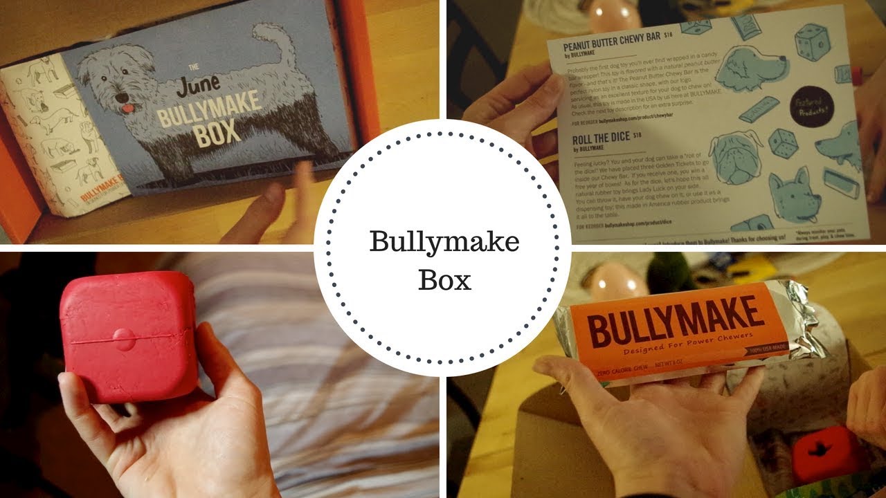 Bullymake Box Review | Is it worth it?? | Morgan Buff - YouTube