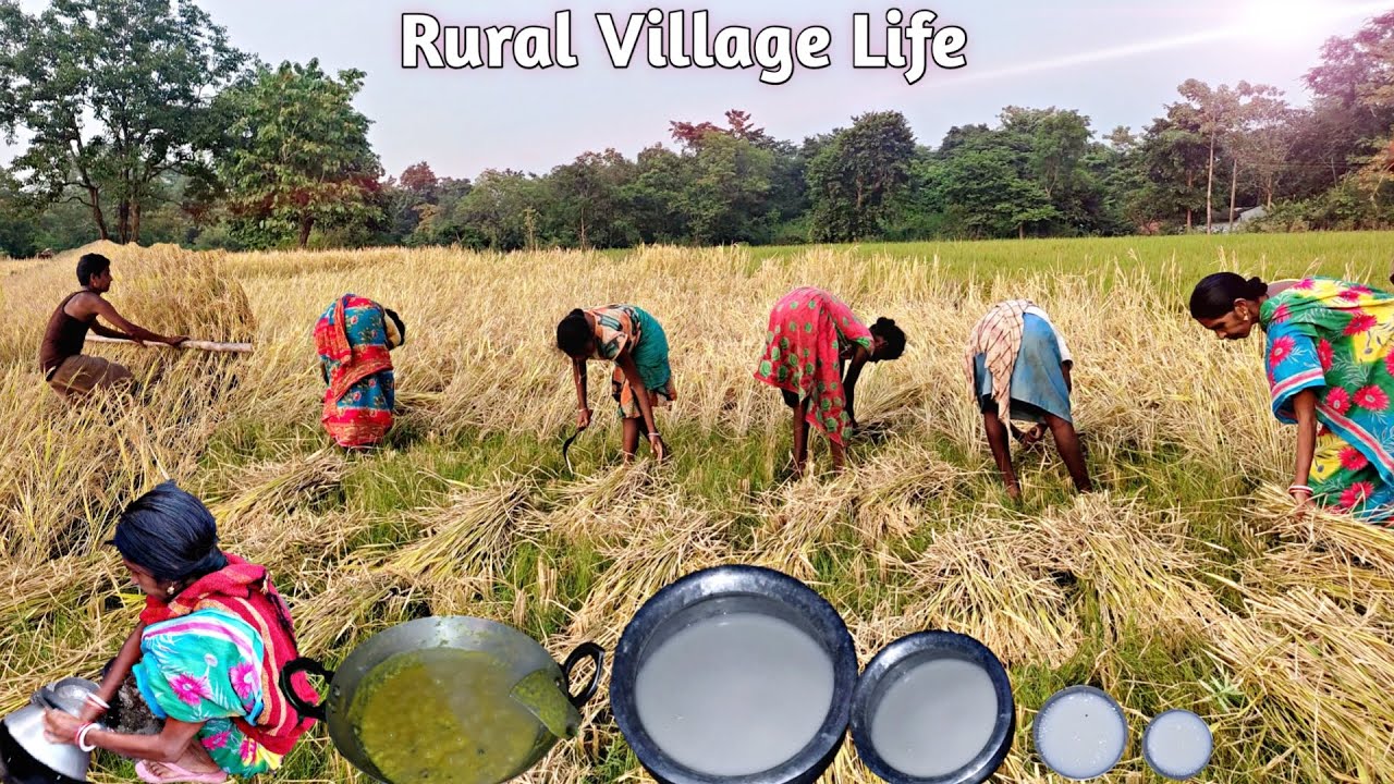 How people work in the village || Real village life || Indian rural ...