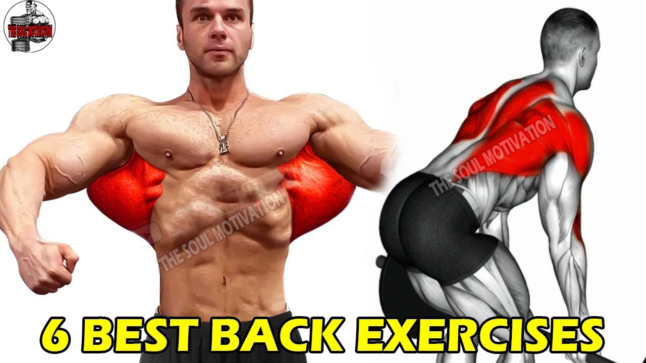 6 Beginners Back Exercises To Get Bigger And Wider Back - YouTube