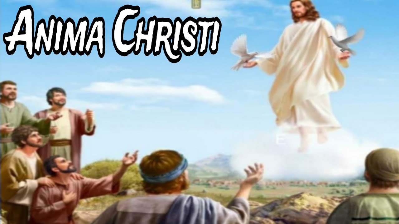 Anima Christi | Latin With English Subtitles - YouTube