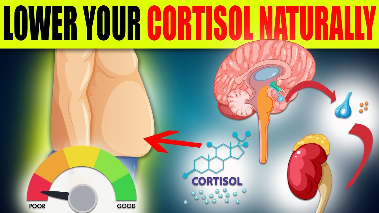 Signs of high cortisol levels and how to lower it naturally ? - YouTube