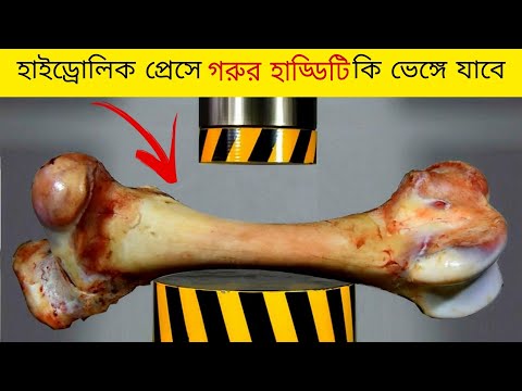 Hydraulic Press vs Bone . এমনই কিছু এক্সপেরিমেন্ট দেখে আপনারা অবাক হয়ে যাবেন. Amazing experiments .