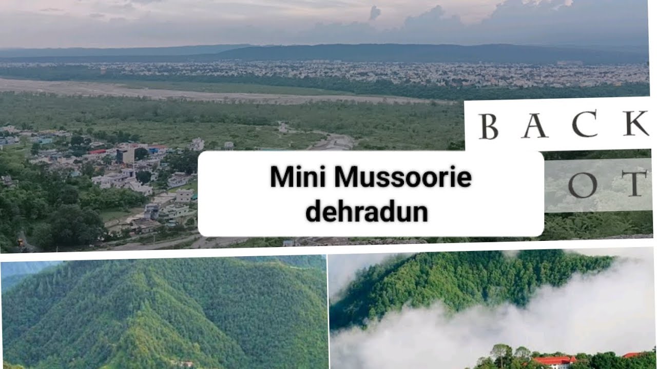 Mini Mussoorie dehradun, Tree Cafe #tredingshorts #trevel #sunderview # ...