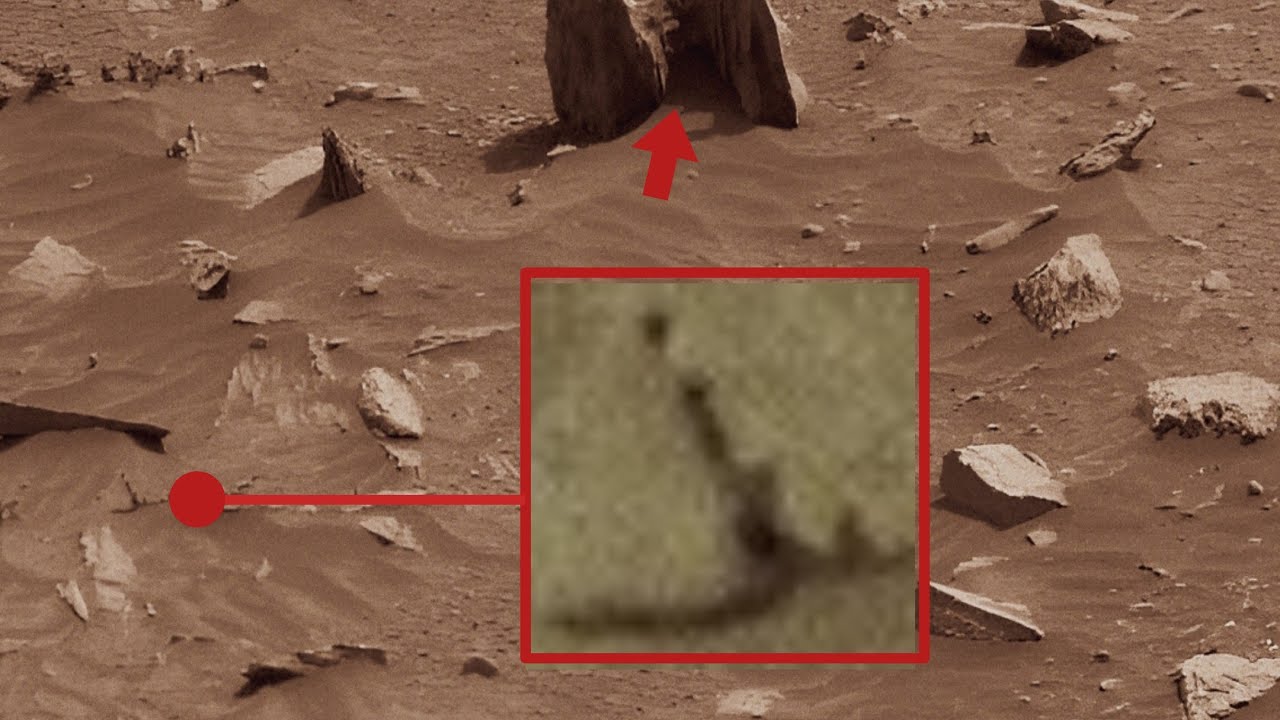 NASA's Mars Perseverance Rover Sent Latest Most Amazing Footage of Mars ...