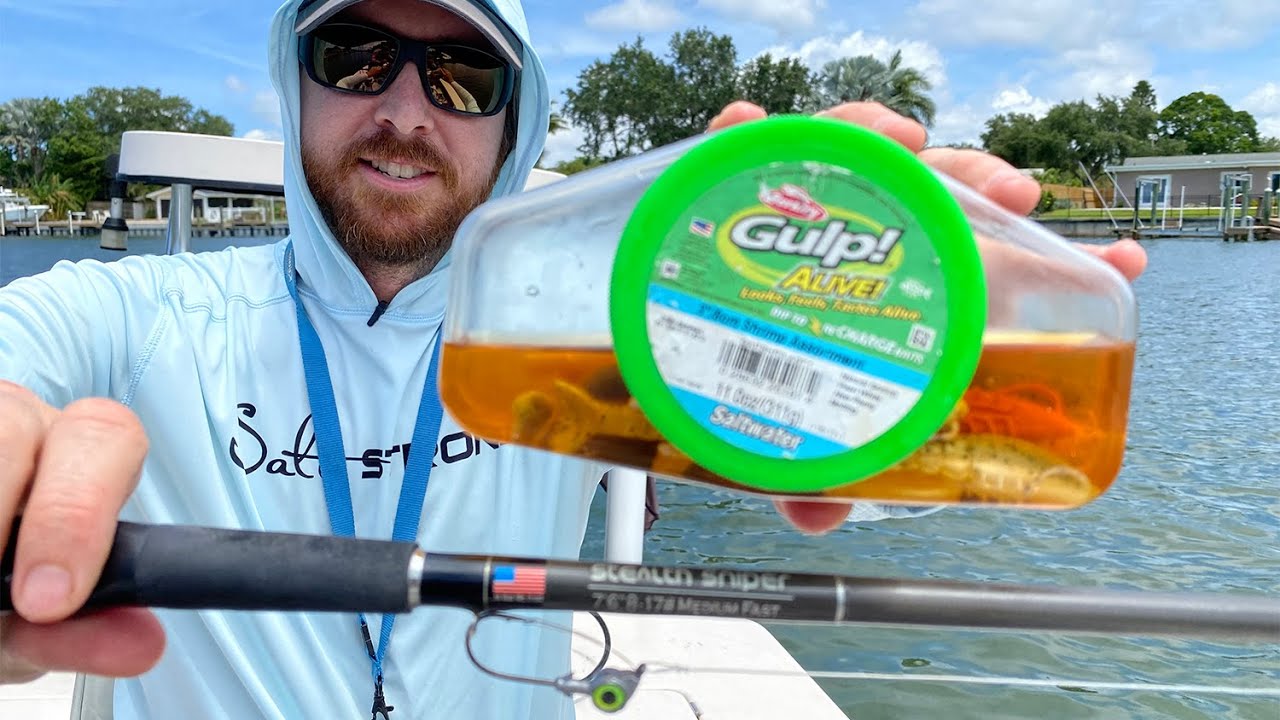 Gulp Shrimp: Can You Store Them Rigged On A Jig Head In Gulp Juice ...