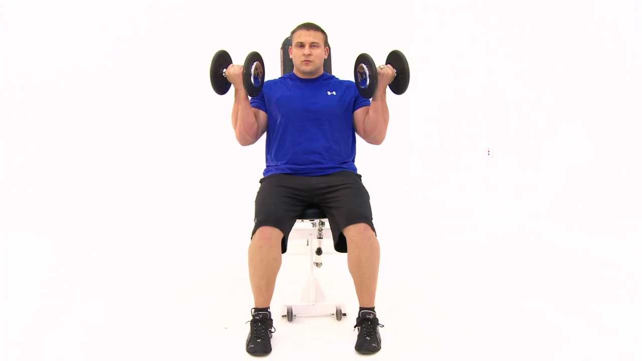 Seated Dumbbell Curls - YouTube