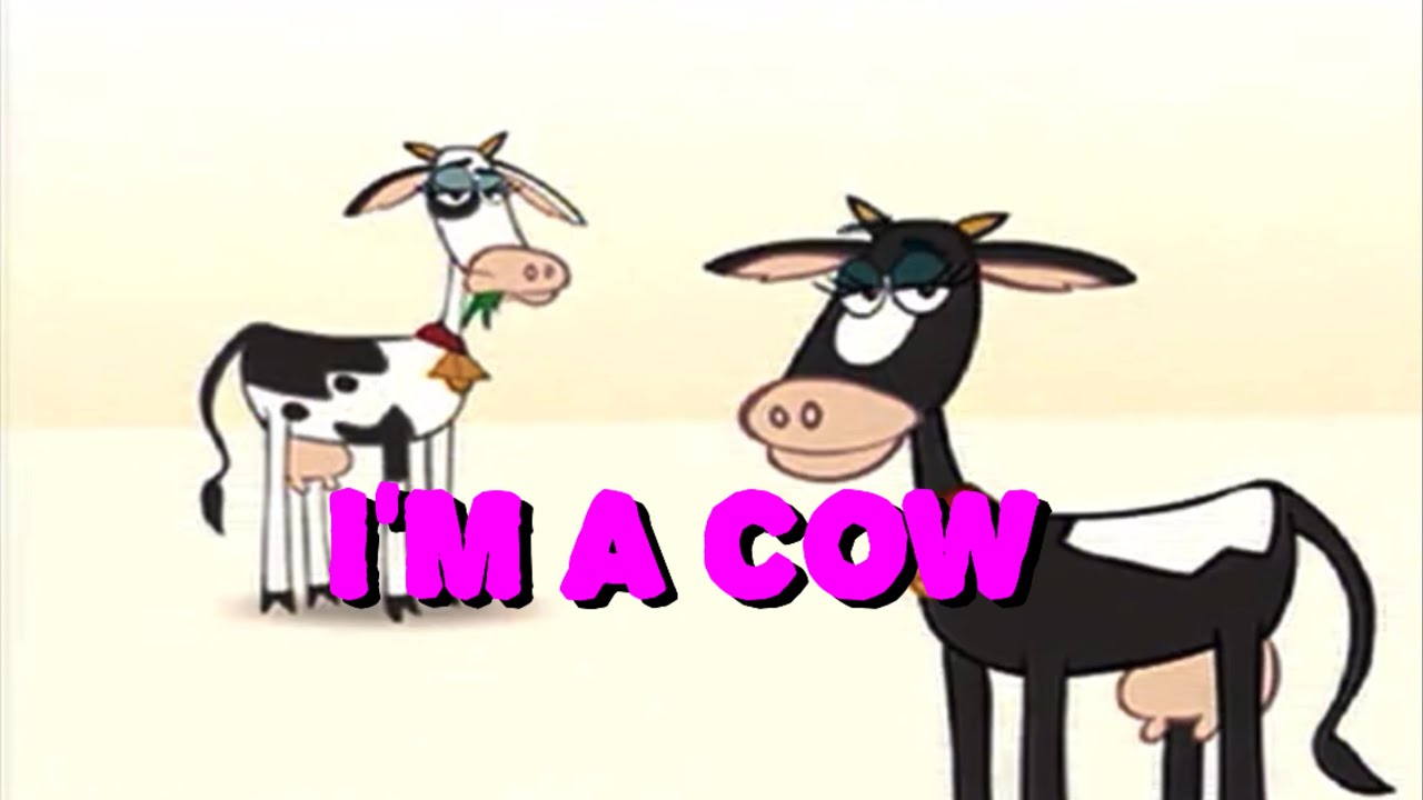 I'm a cow - YouTube