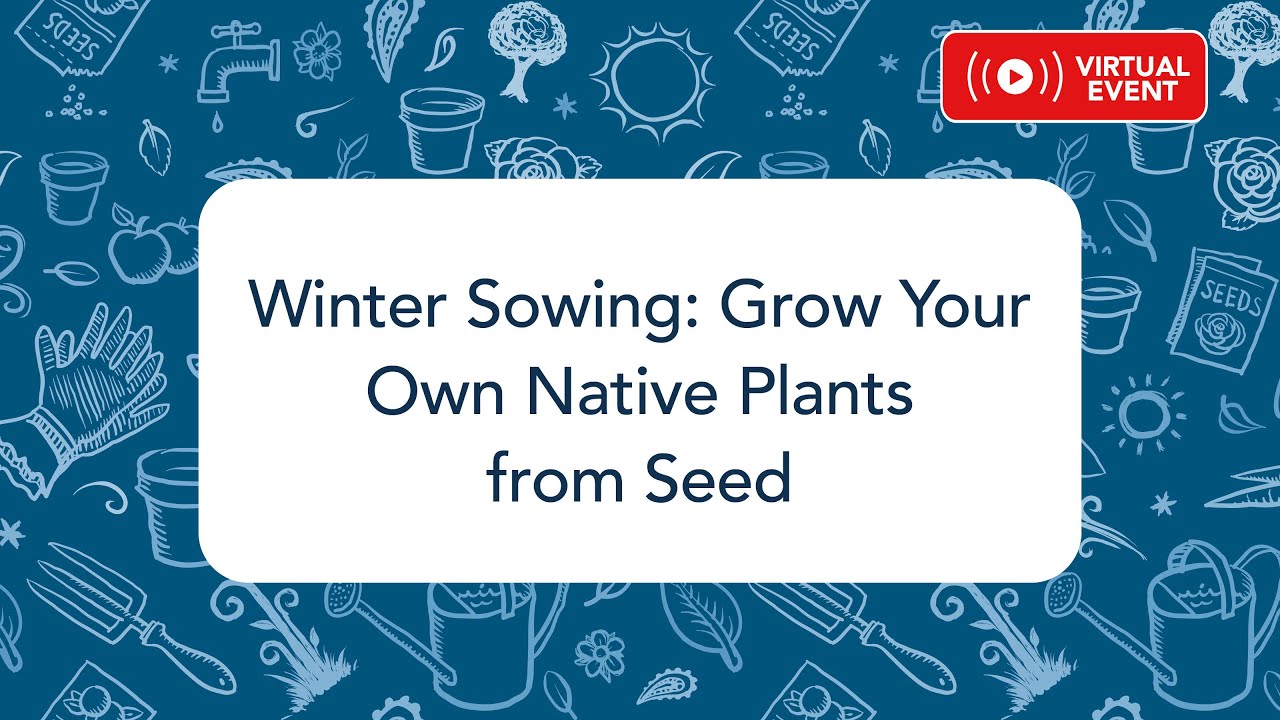 Winter Sowing: Grow Your Own Native Plants from Seed - YouTube