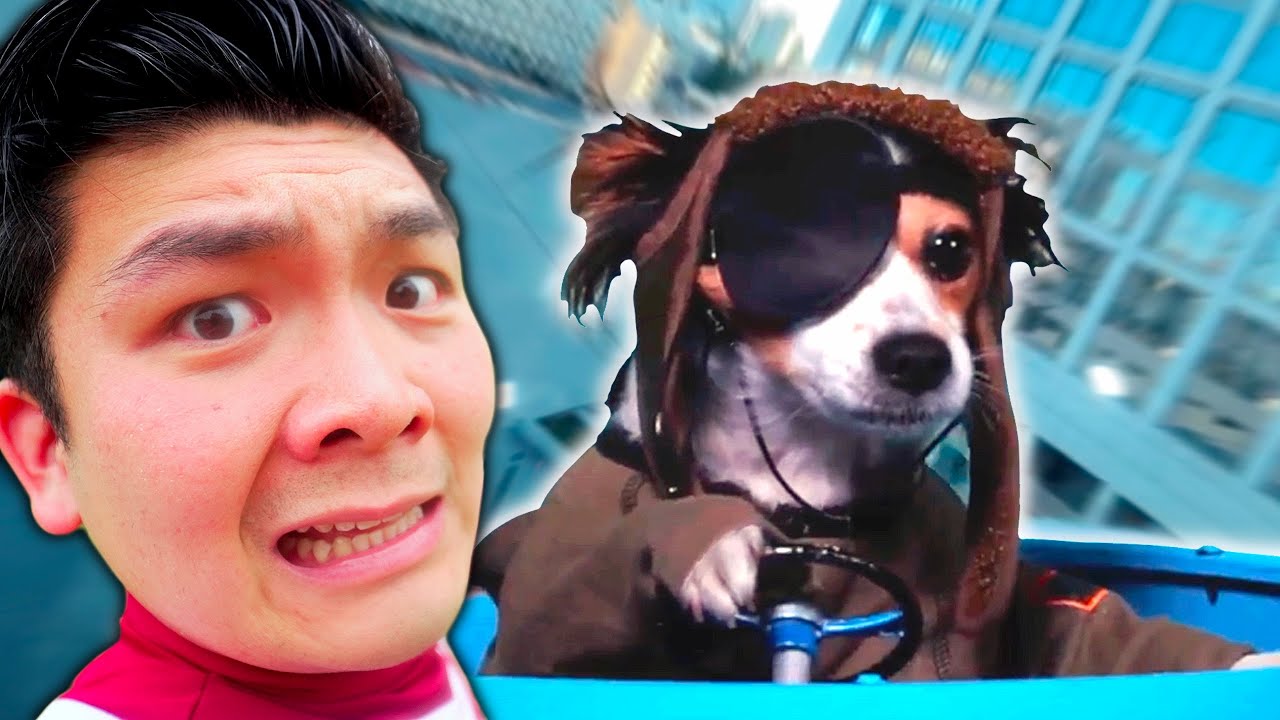 Jet-flying Cats and Dogs?! Ginormo! EP5 - YouTube