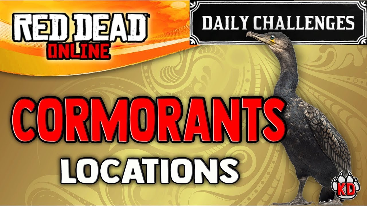 Red Dead Online - Cormorant Location - RDR2 Daily Challenge Cormorants ...