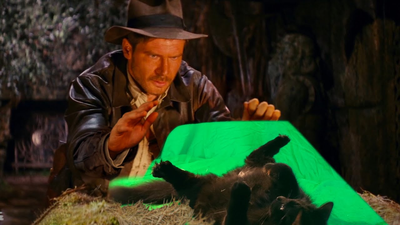 Indiana Jones with My Cat (Behind the Scenes) - YouTube