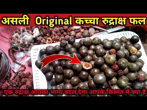 Ayodhya में असली रुद्राक्ष || Original Rudraksh || Original Rudraksh In ...