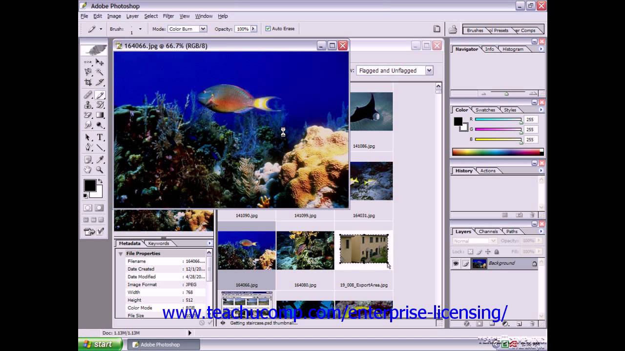 Photoshop CS6 Tutorial Using the File Browser (v. 7 & CS) Adobe ...
