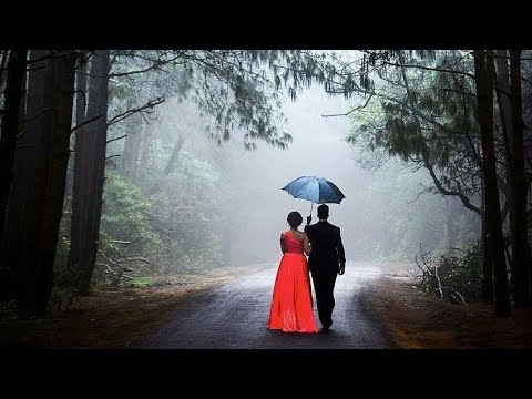 Thunder ⚡ sound rain 🌧️ status video deep sleep