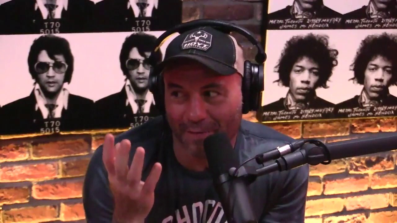 Joe Rogan & Robb Wolf on GMOs - YouTube