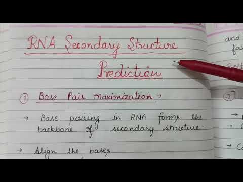 RNA Secondary structure prediction - YouTube