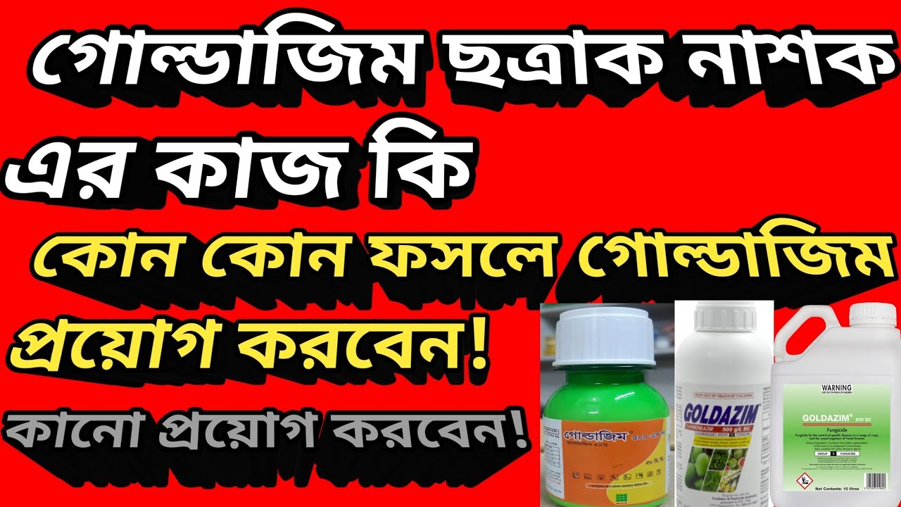 Goldazim ছত্রাক নাশক এর কাজ কি?কোন কোন ফসলে Goldazim প্রয়োগ করবেন ...