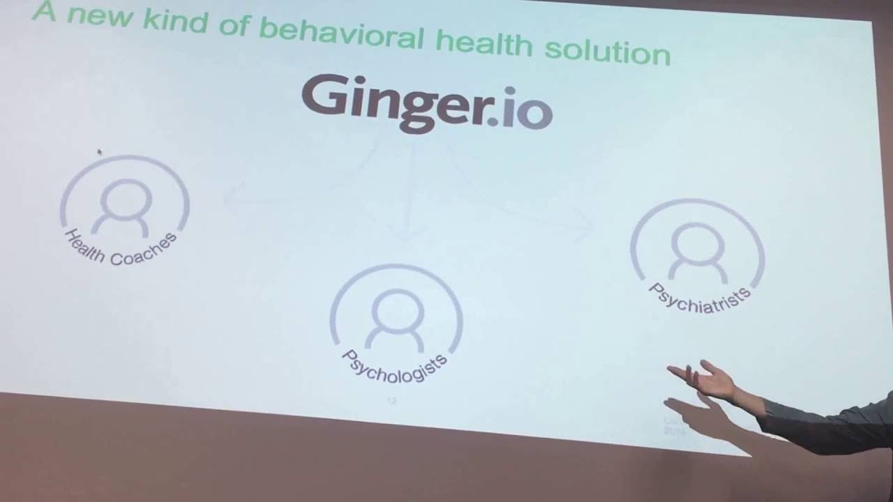 Mimi Winsberg, Psychiatry Lead at Ginger.io at HealthTech Women - YouTube