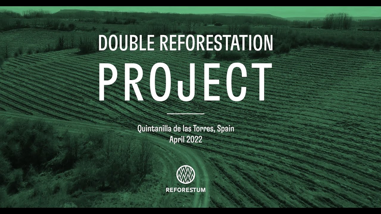 Double reforestation project - Quintanilla de las Torres (Spain) - YouTube
