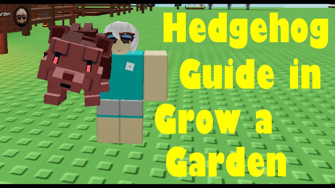 FAST Way To Get Hedgehog in Grow a Garden! Roblox - YouTube