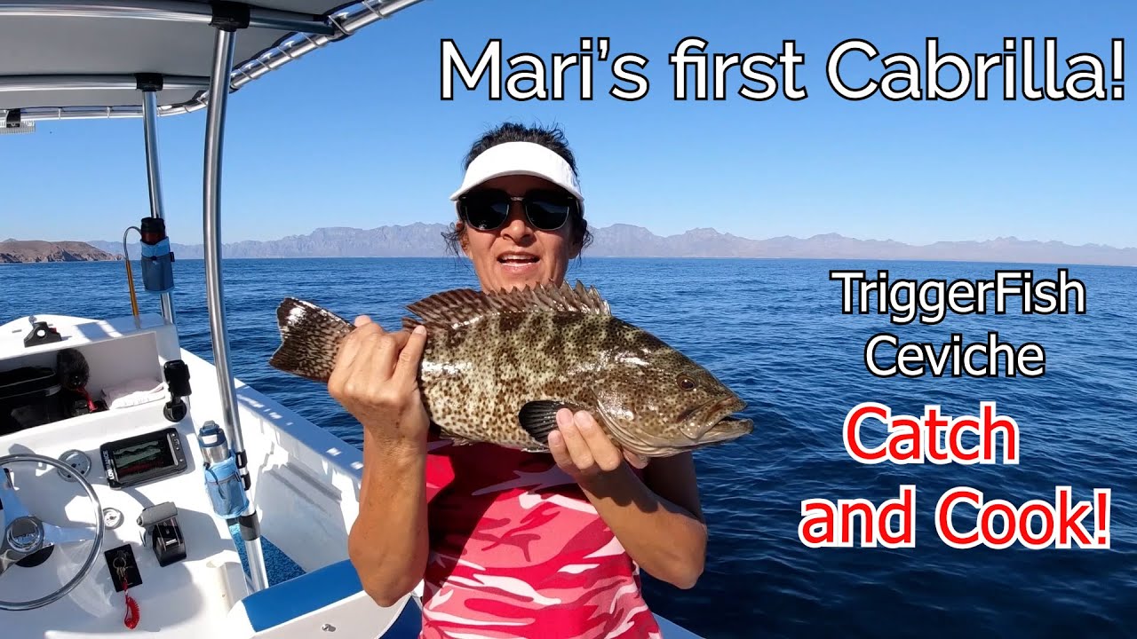 Baja Sportfishing - Mari's First Cabrilla! Catch and Cook CEVICHE ...