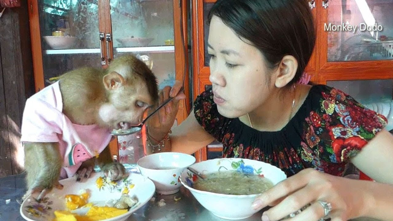 Dodo Learn To Eat Chicken Conger (Rice Soup) With Mom, Dodo Like So ...