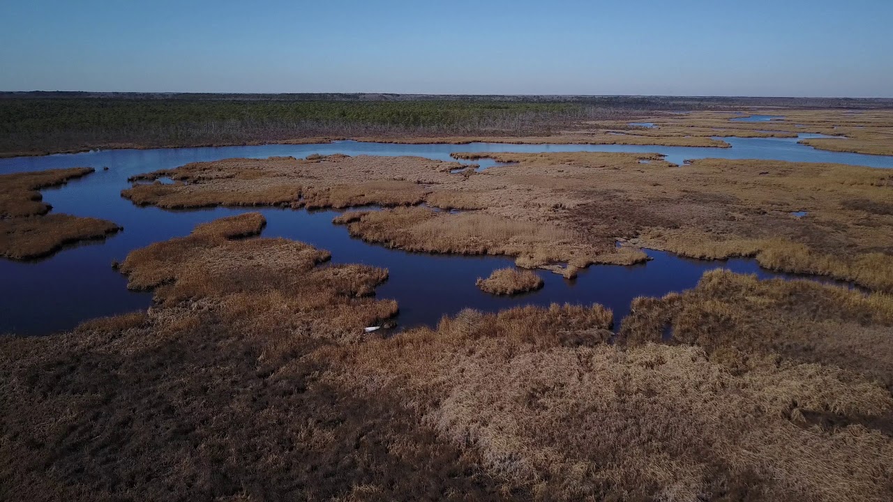 Pungo Ferry Road - Virginia Beach - DJI Mavic Pro - YouTube