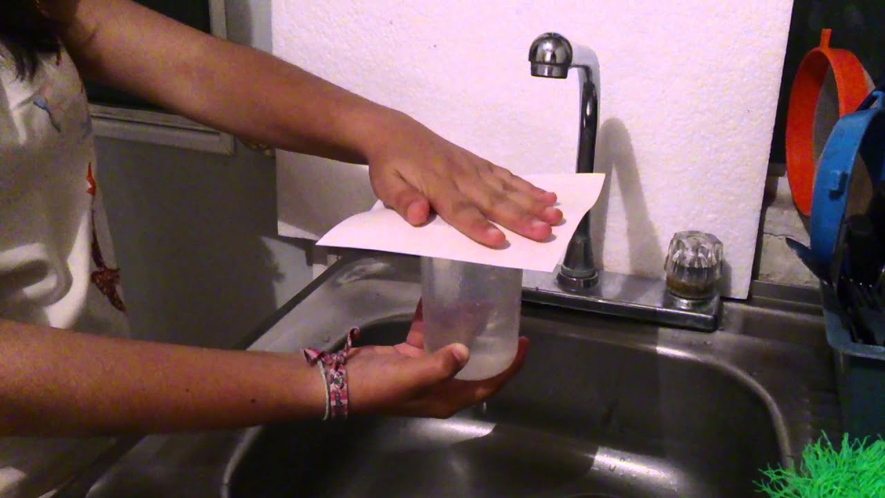 Experimento vaso tapa carton - YouTube