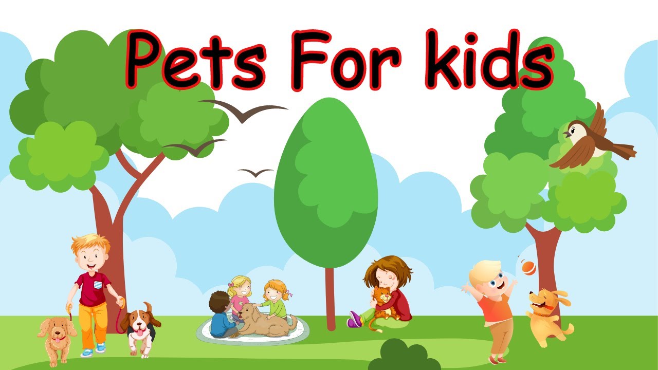 Unbelievable Pets You Can Keep At Home! ||pets ||home pets || kids pets ...