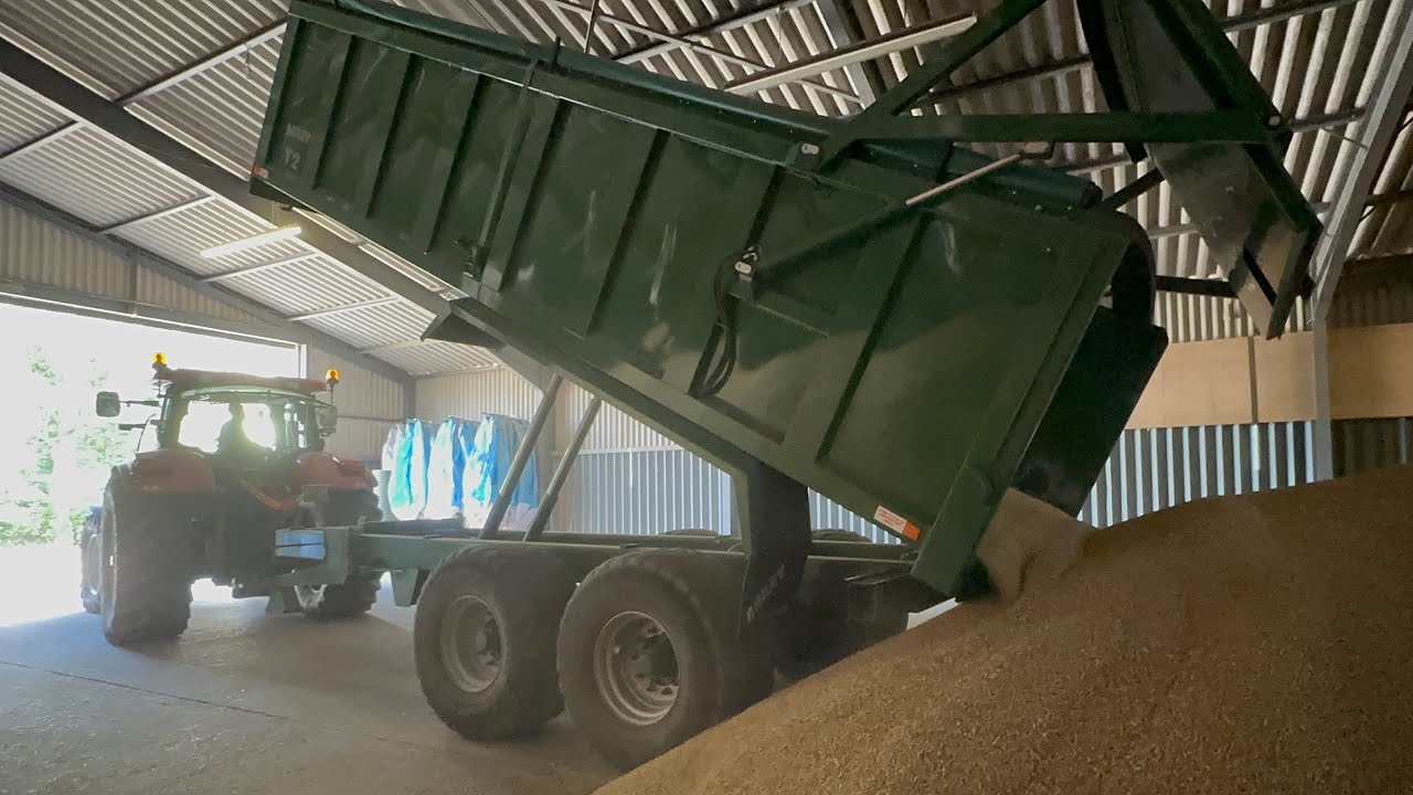FARM UPDATE 178 HARVEST SPRING BARLEY, TIPPING & STORING GRAIN IN OLDER ...