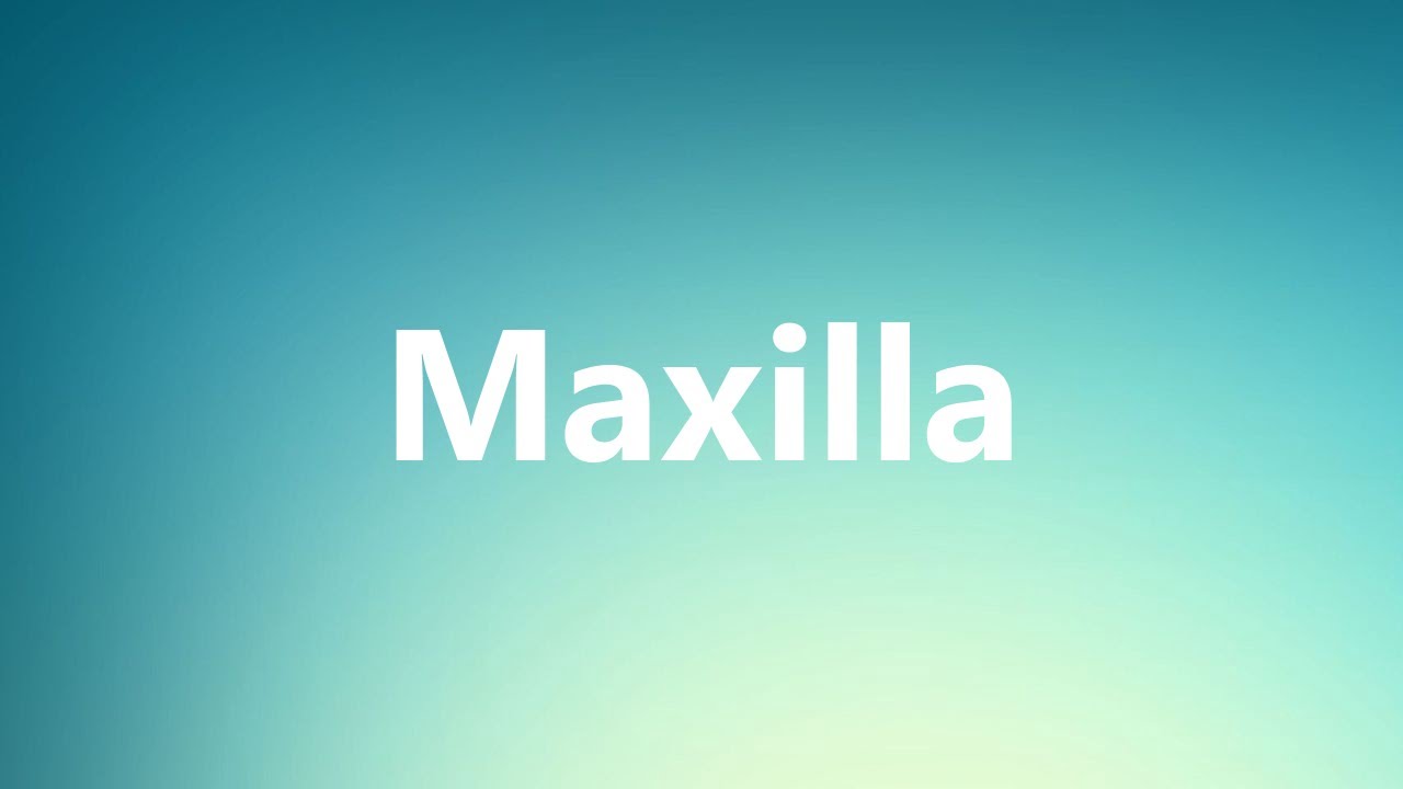 Maxilla - Medical Meaning and Pronunciation - YouTube