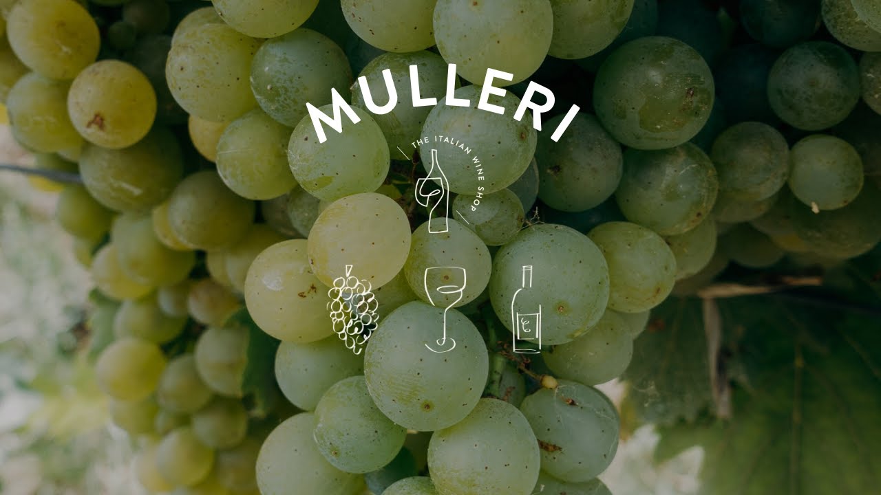 Introducing | Mulleri Vineyard | Sardinia Month - YouTube