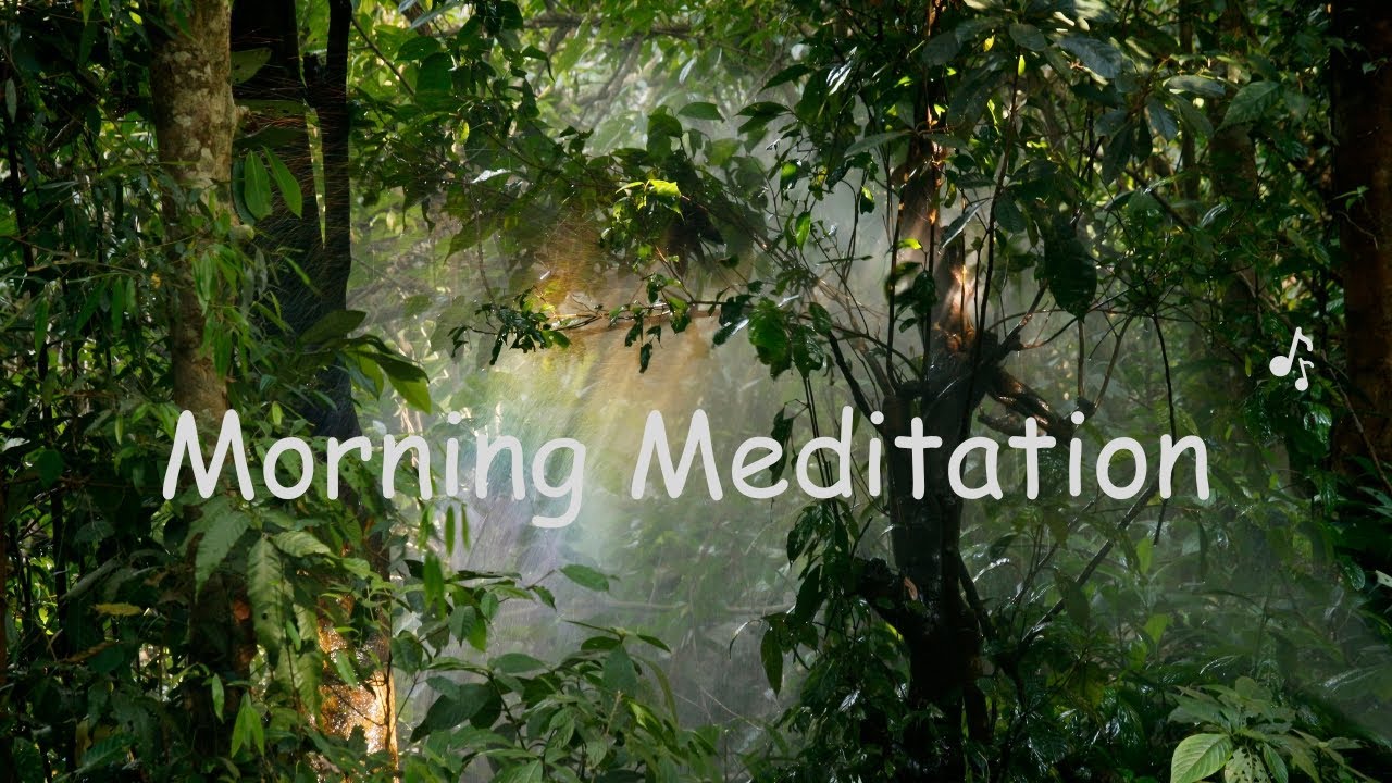 Daily Morning Meditation | Meditation Music | 16 December 2023 - YouTube