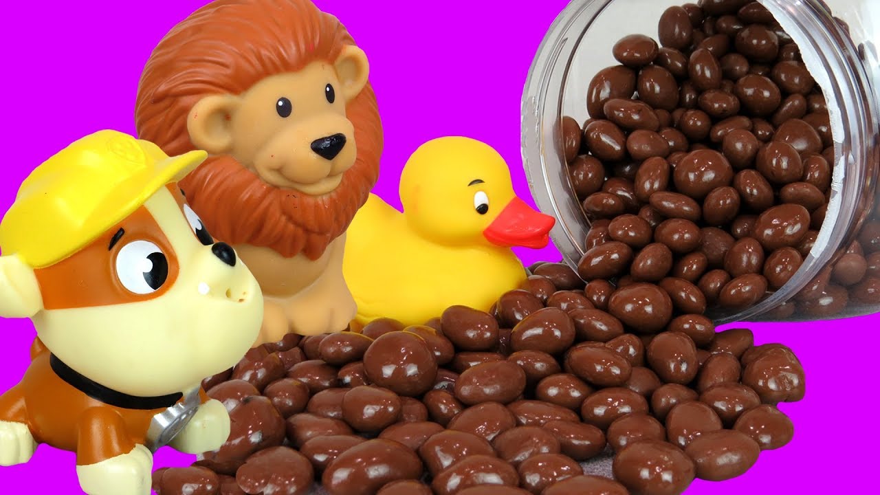 Animals eat candy and other sweets - pig - lion - cow - donkey - duck ...