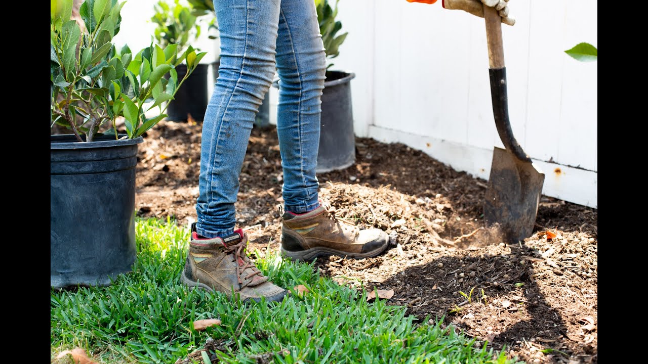 Women In Landscape - YouTube