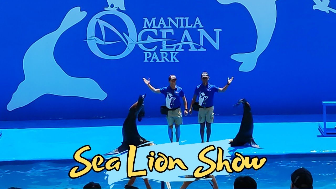 Manila Ocean Park | Sea Lion Show - YouTube