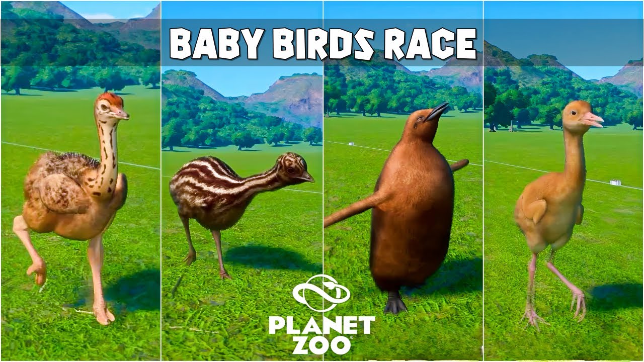 Baby Birds Speed Race in Planet Zoo - Common Ostrich, Emu, King Penguin ...