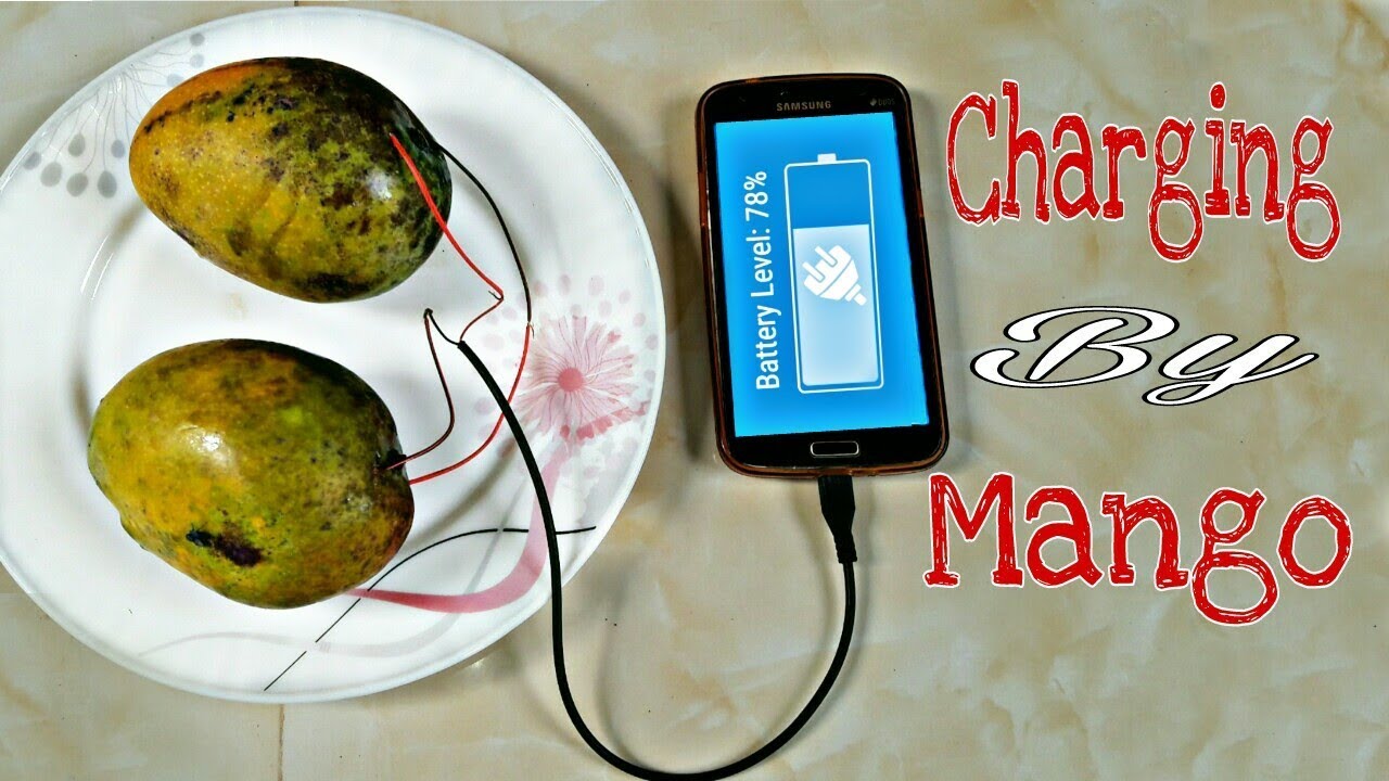 Mobile charging by mango/how to make free electricity from mango ...