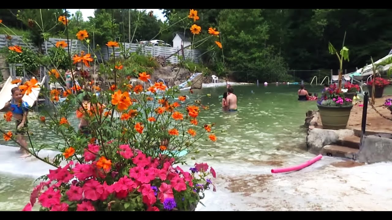 Business Spotlight: Suncrest Water Park - YouTube