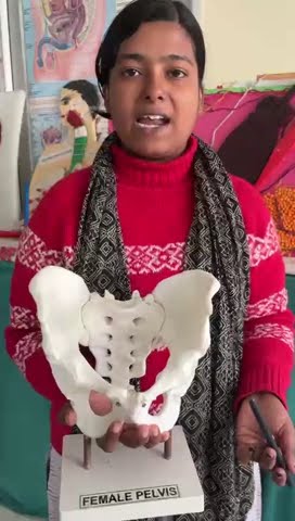 True vs. False Pelvis Explained | Quick Anatomy Guide #anatomy # ...