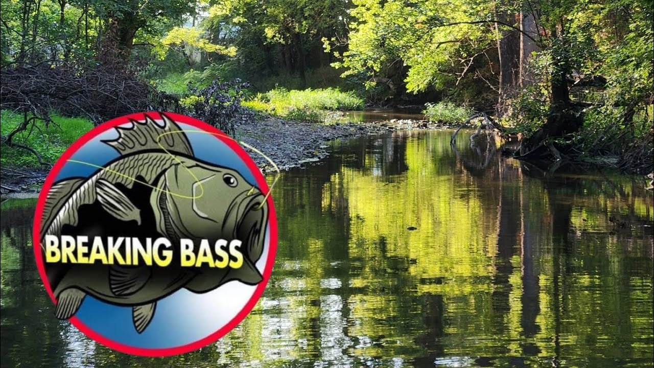 Narrow Ohio Creek Wading - YouTube