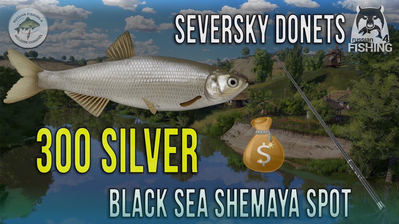 📌 Black Sea Shemaya Fishing GUIDE! Best Spot & Setup – 300 Silver in 40 ...
