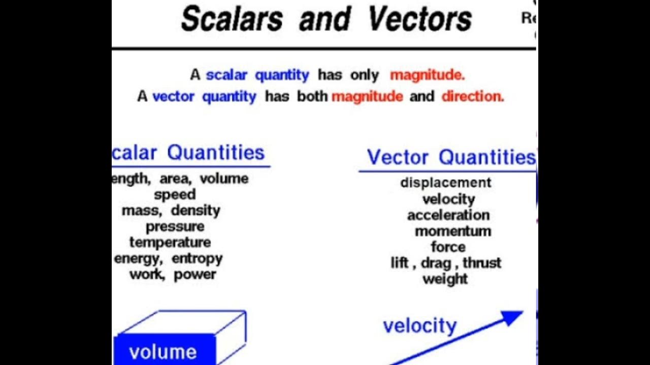 Scalar and Vector quantities with definition and examples - YouTube