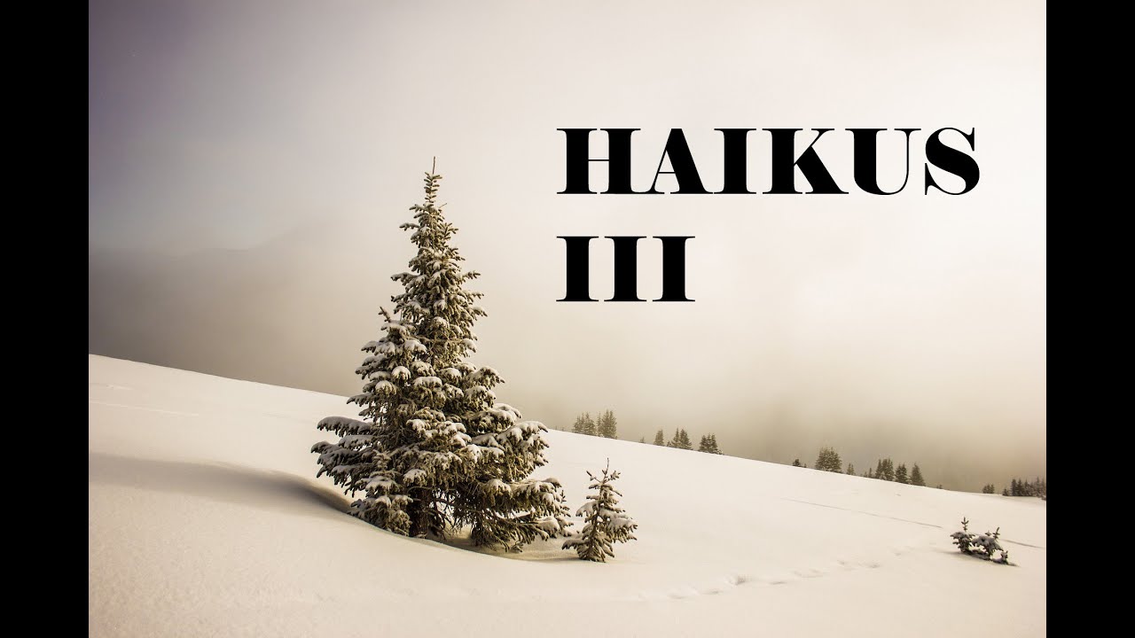 HAIKUS III. Haikus clásicos japoneses. Relajación serenidad y ...