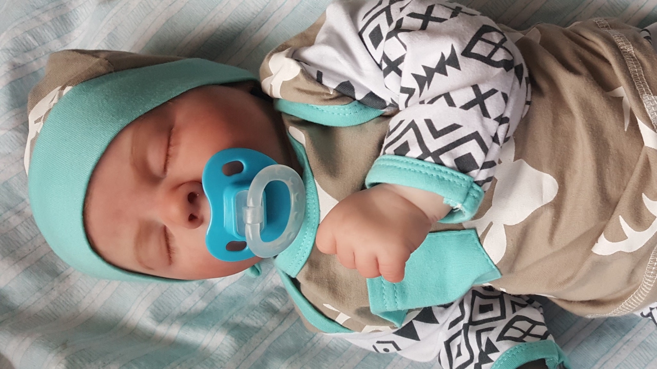 reborn lover and collector Live Stream - YouTube