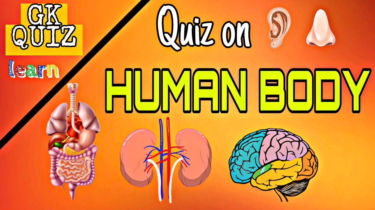 GK Quiz on human body. Can you guess the Right Answers/ Let's Check!# ...