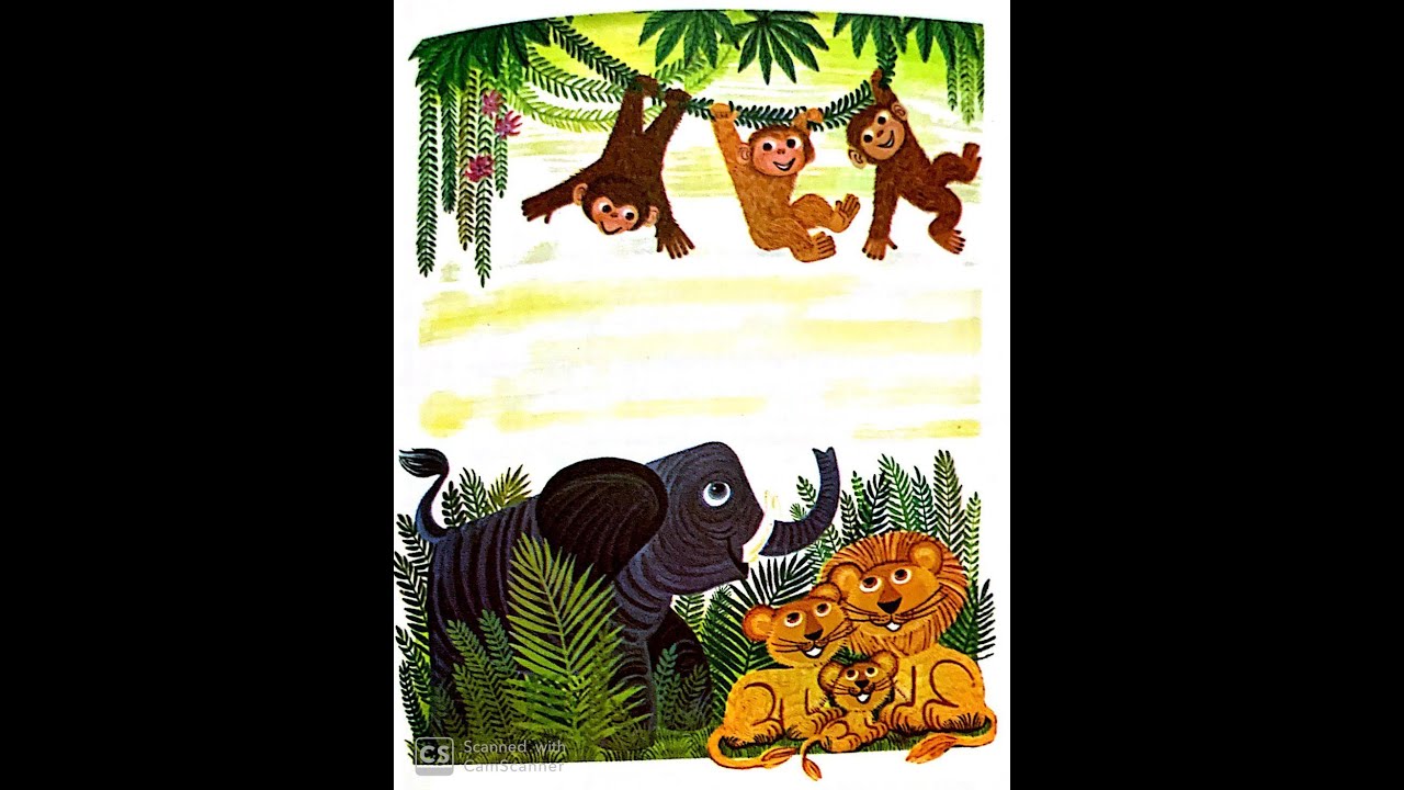 Cele 3 Maimute - Povesti de Seara - YouTube