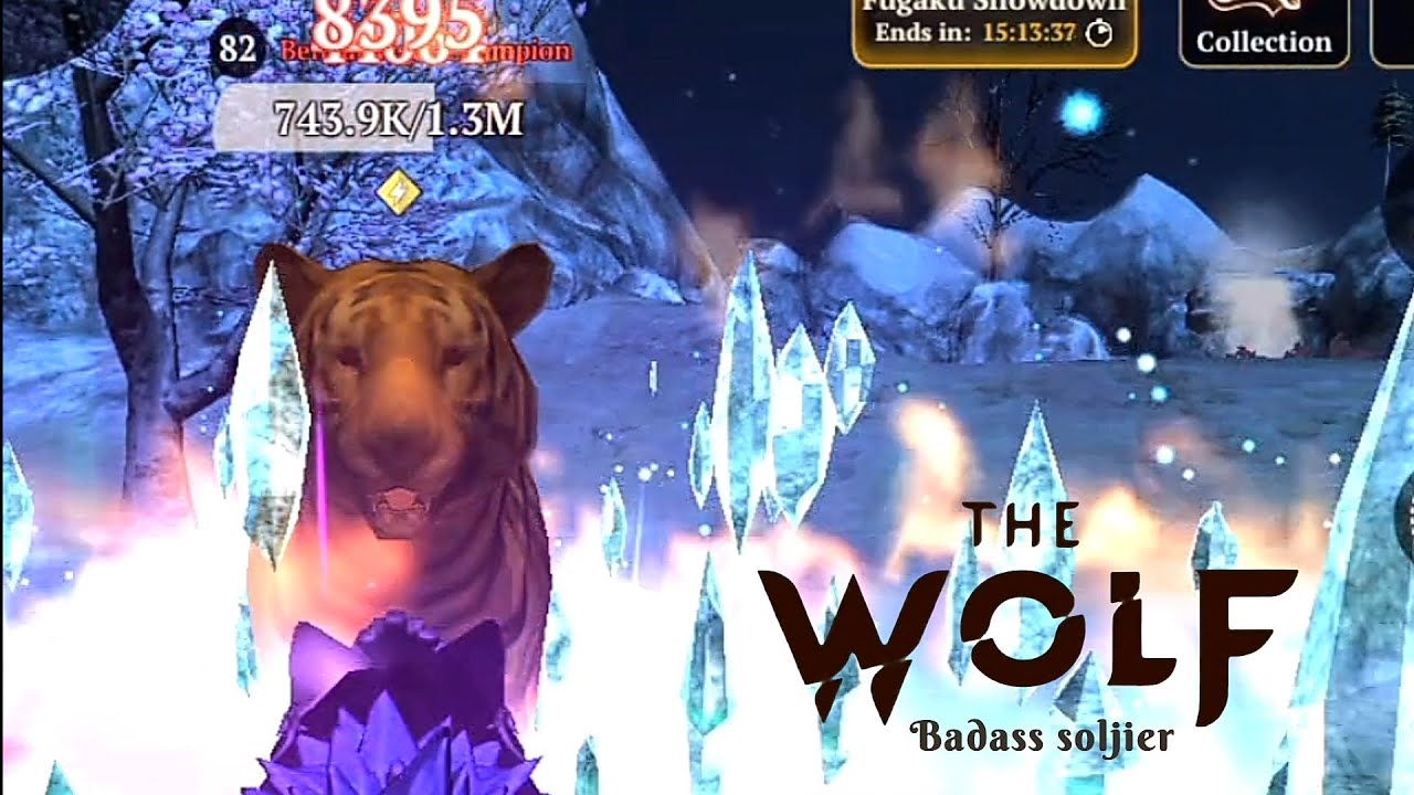 the wolf - Today I got a lot of Bengal Tiger Champion #thewolf - YouTube