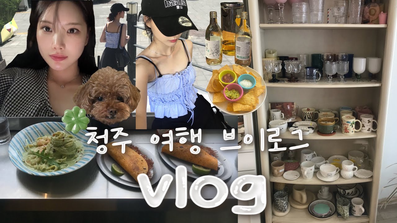 Vlog 일상 브이로그☀️급 당일치기 청주 여행 브이로그🌳여름 무더위 견뎌코우너로웨더소품샵 구경이자카야🍶음주로그술또취 드디어 톤다운 염색🙊